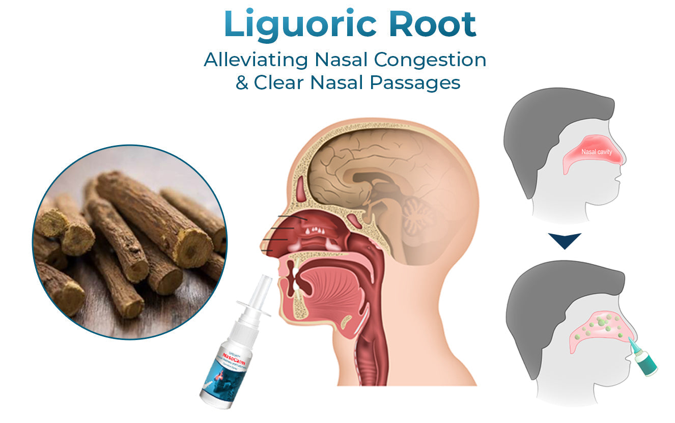 GFOUK™ NasoCalm Nasal Wellness and Turbinate Comfort Spray – G-FOUK